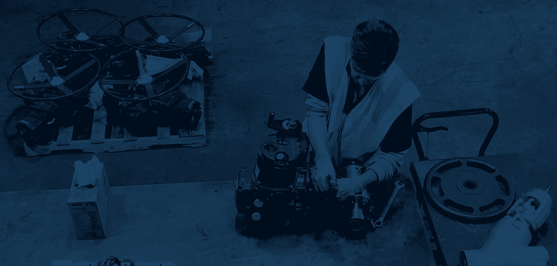 Limitorque - Ferguson Industrial